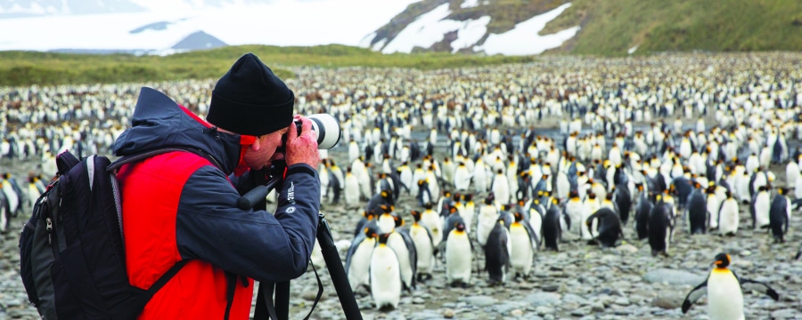 Wildlife Photography Tips: How to Snap Animals in their Own Habitat ...