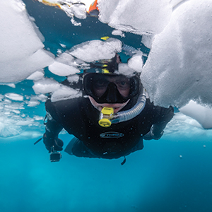 AE Expeditions | Small Ship Expedition Cruises - Aurora Expeditions