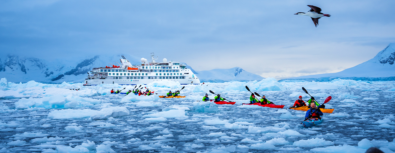 Antarctica & Arctic Cruise Activities: Camping, Snorkeling & More ...