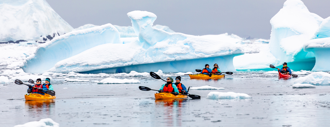 Travel Agent Events & Webinars | AE Expeditions - Aurora Expeditions